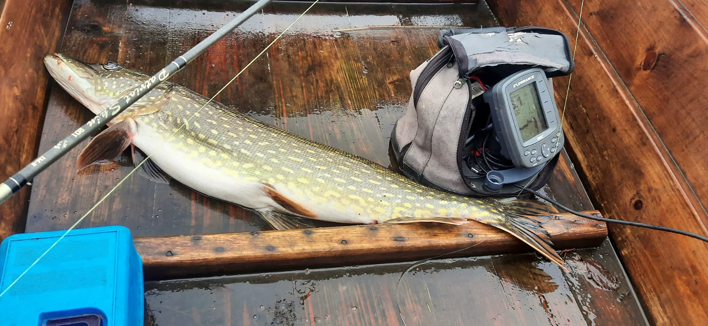 Par līdaku lomiem Gulbenes novadā nevar sūdzēties - Dzirkstele.lv