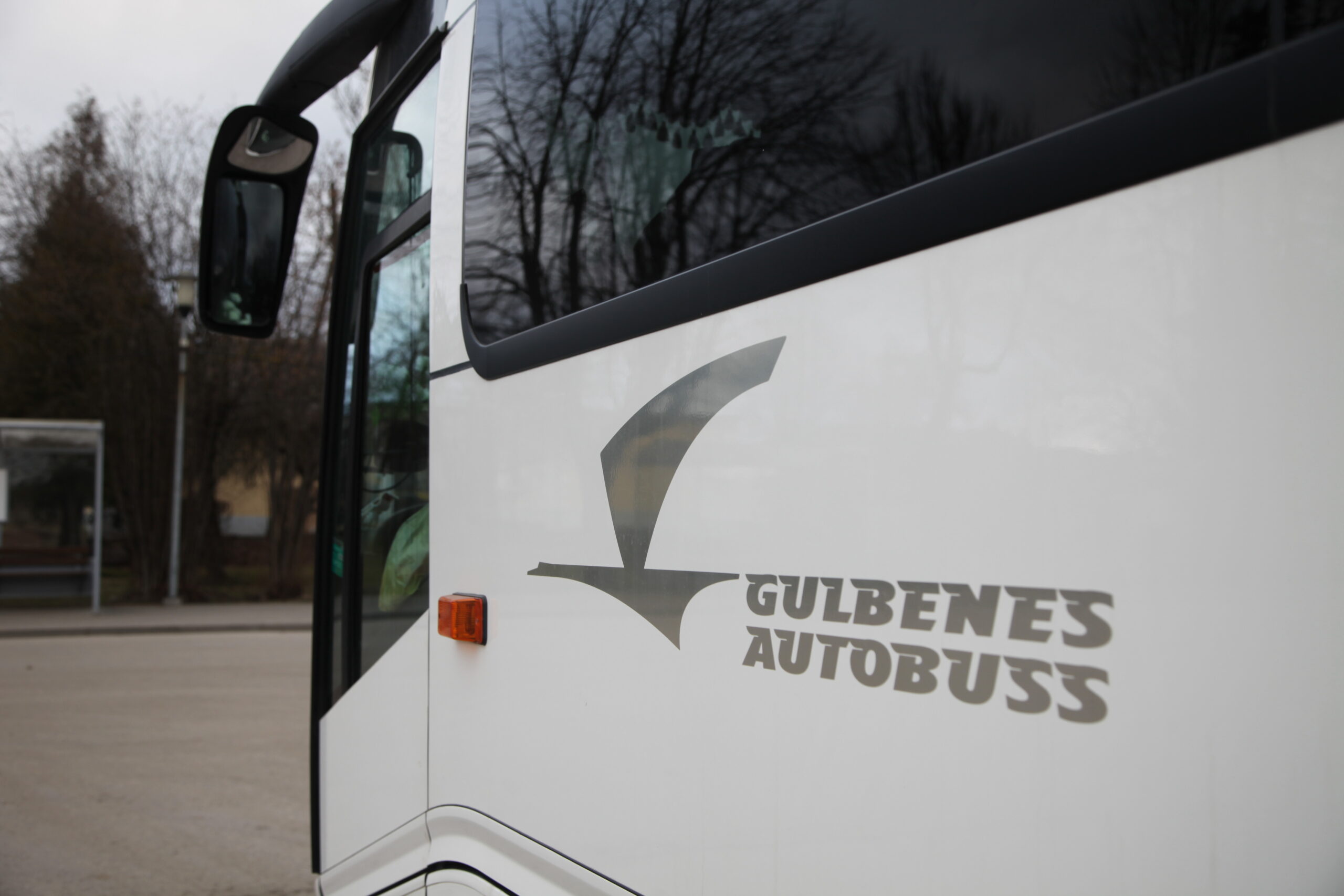 Skolēnu pārvadājumus pašvaldība plāno nodrošināt bez “Gulbenes autobusa ...