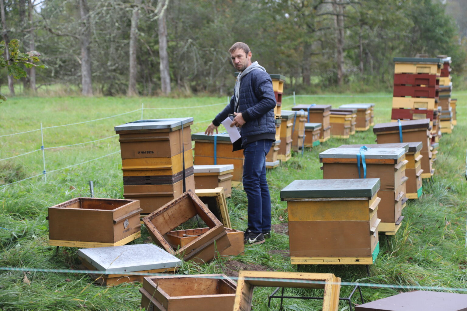 Bitenieks Rolands Krevics: “Lācis nāk ēst medu gandrīz katru nakti jau ...